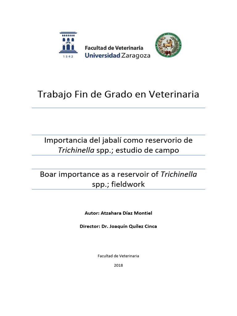Taz TFG 2018 1910 | PDF