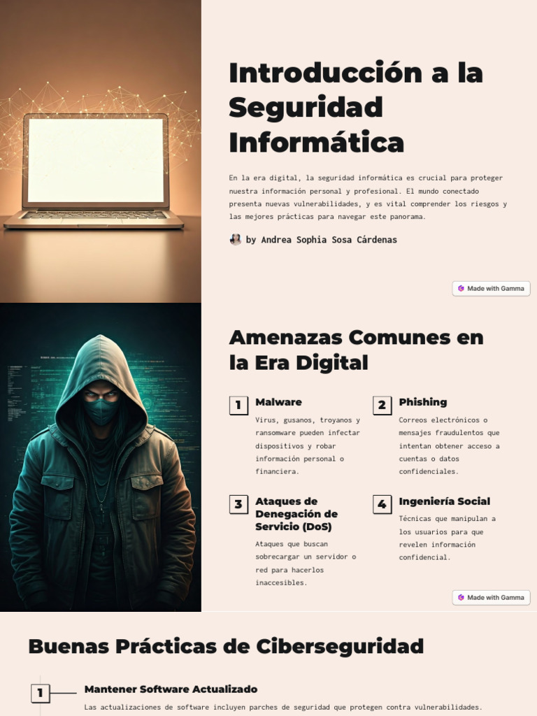 Introduccion-a-la-Seguridad-Informatica | PDF