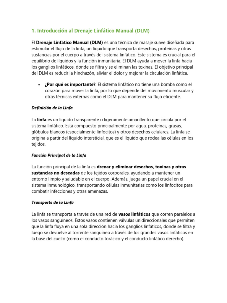 Plan de Estudio - DLM | PDF