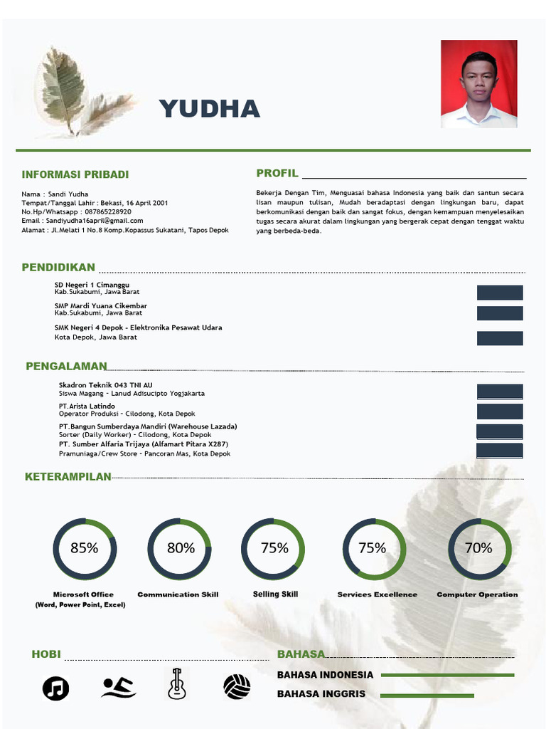 CV 1 SAT- SANDI | PDF