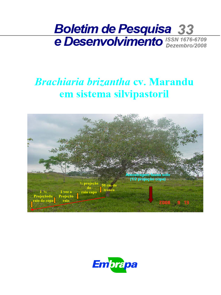 Marandu | PDF
