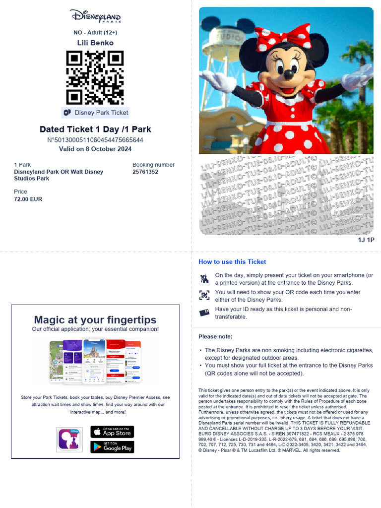 Disneyland | PDF
