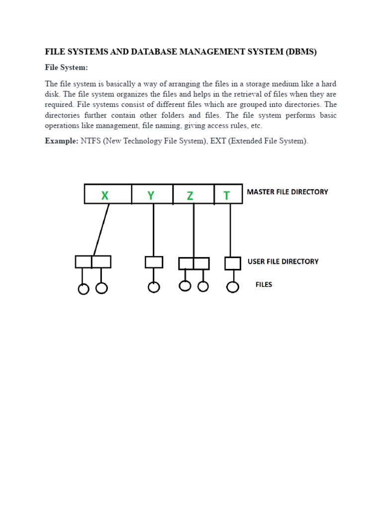 File Systems and Database Management System | PDF