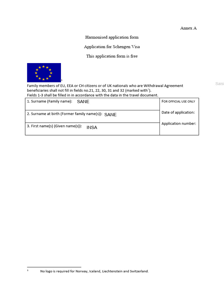 Formulaire Demande de Visa Insa Sane | PDF