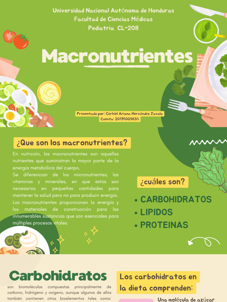 Macronutrientes | PDF