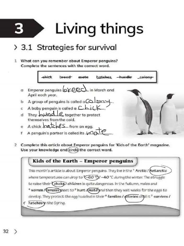 English Home Work Week 4 | PDF
