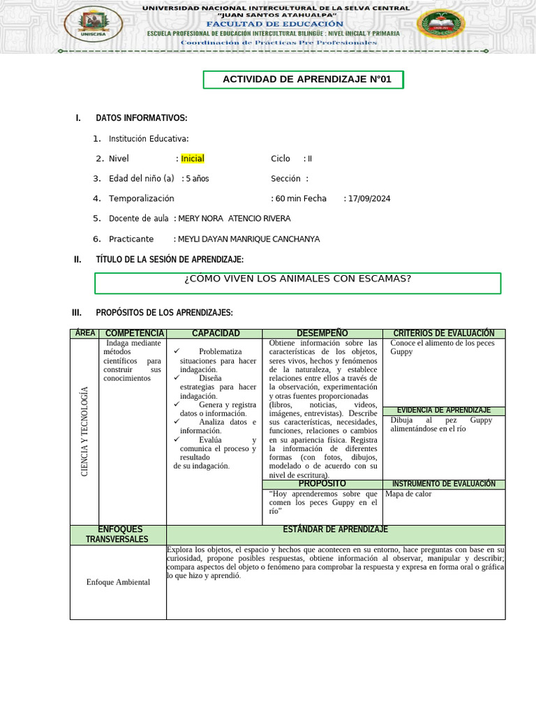 Sesion Inicial para Rellenar | PDF