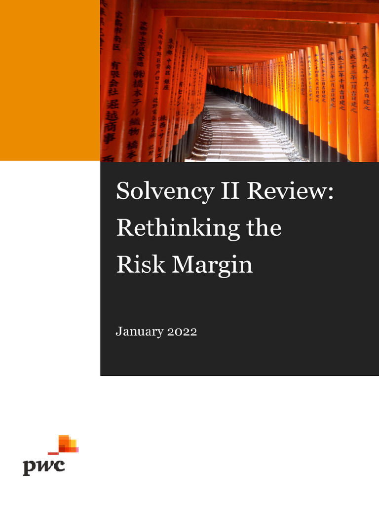 Rethinking The Solvency II Risk Margin | PDF