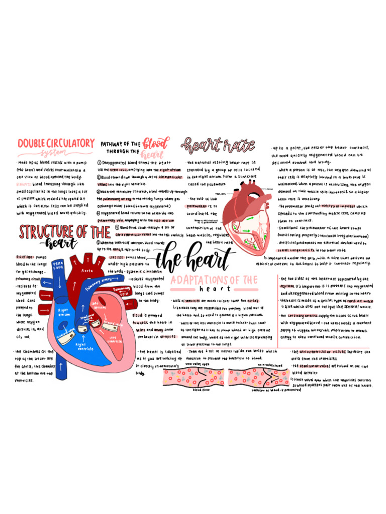 Open The Heart | PDF