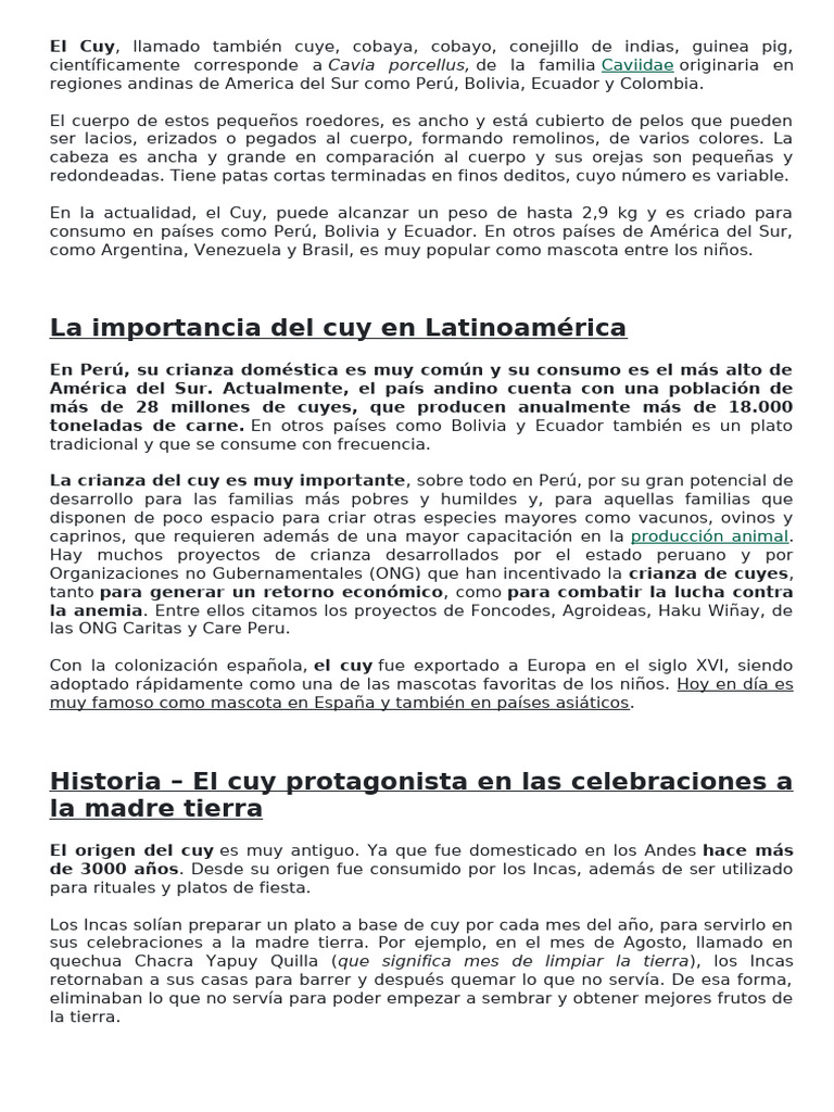 El Cuy | PDF