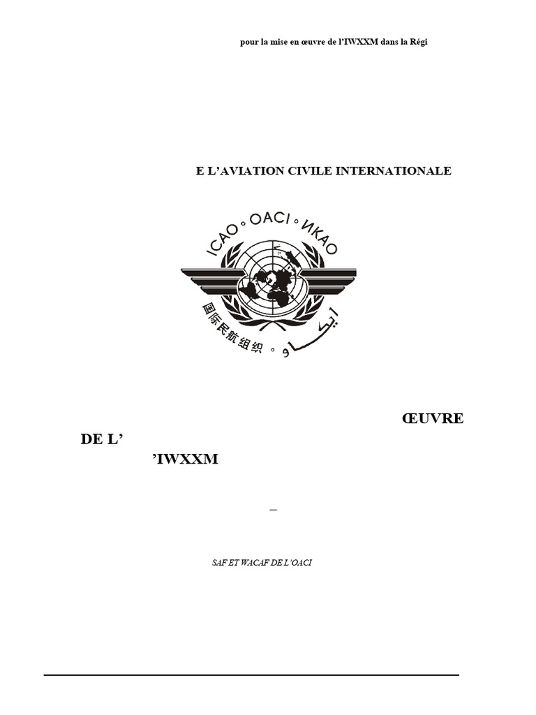 AFI IWXXM Implementation Guideline Doc Ed.1 - 2020-FR | PDF