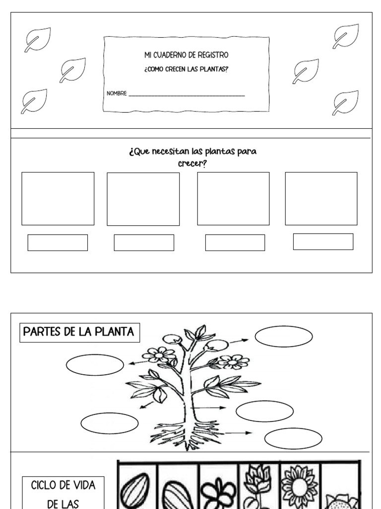 CUADERNO DE REGISTRO Crecimiento de Las Plantas Preescolar | PDF