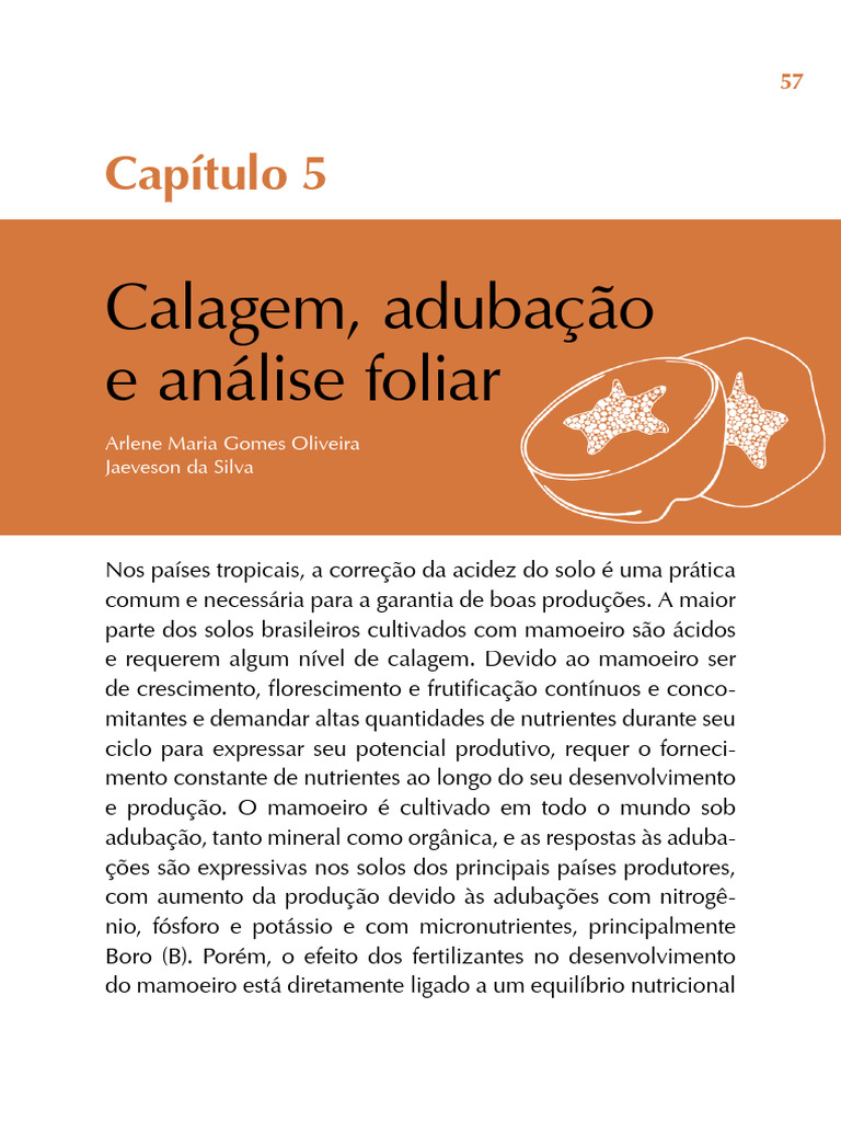 Capitulo5 MamaoGrupoSolo Arlene Jaevson AINFO | PDF