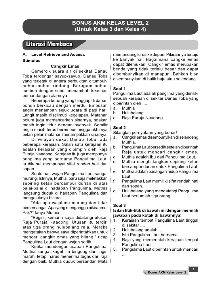AKM Kelas Level 2 | PDF