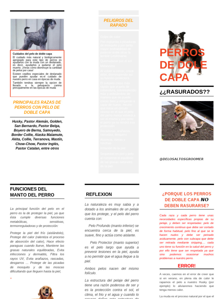 Triptico Rasurado | PDF