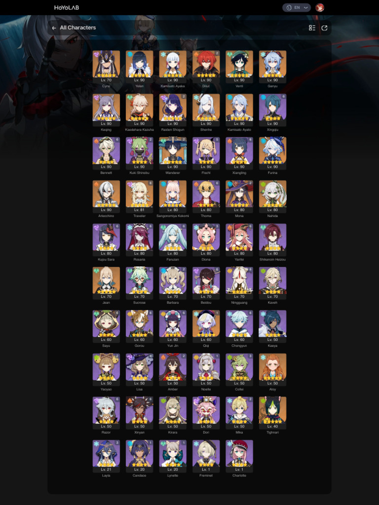 Genshin Impact Battle Chronicle | PDF