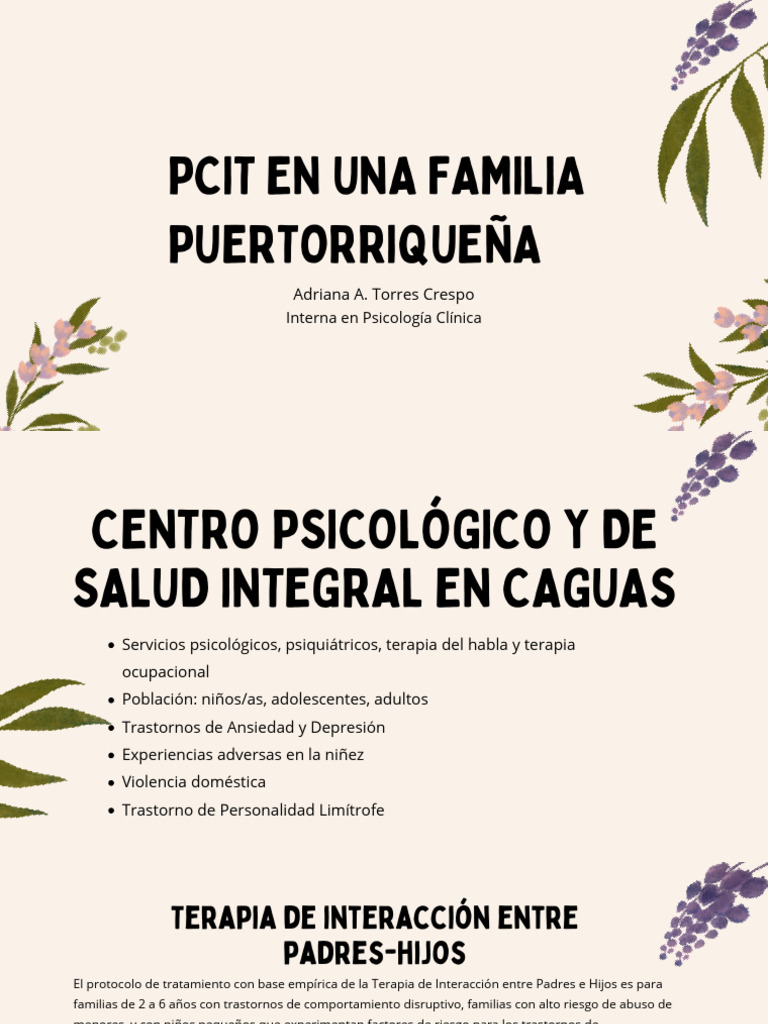 PCIT en Una Familia Puertorriqueña | PDF