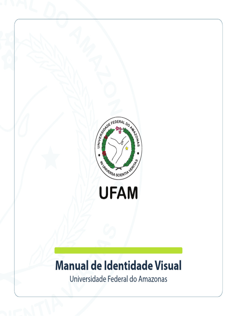 MIV UFAM 2020 v3 | PDF