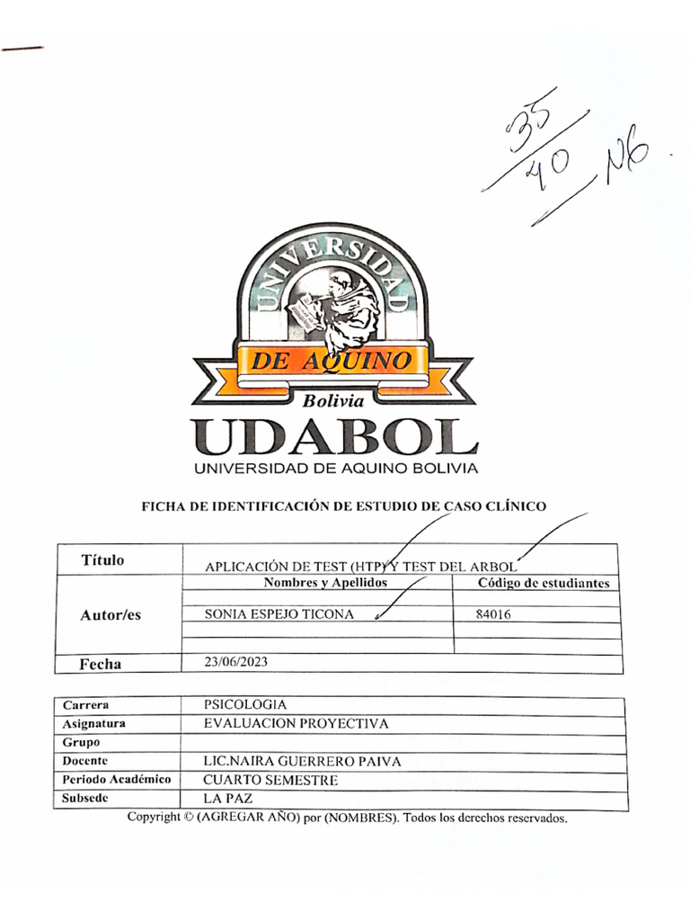 APA Proyectiva Con Nota | PDF