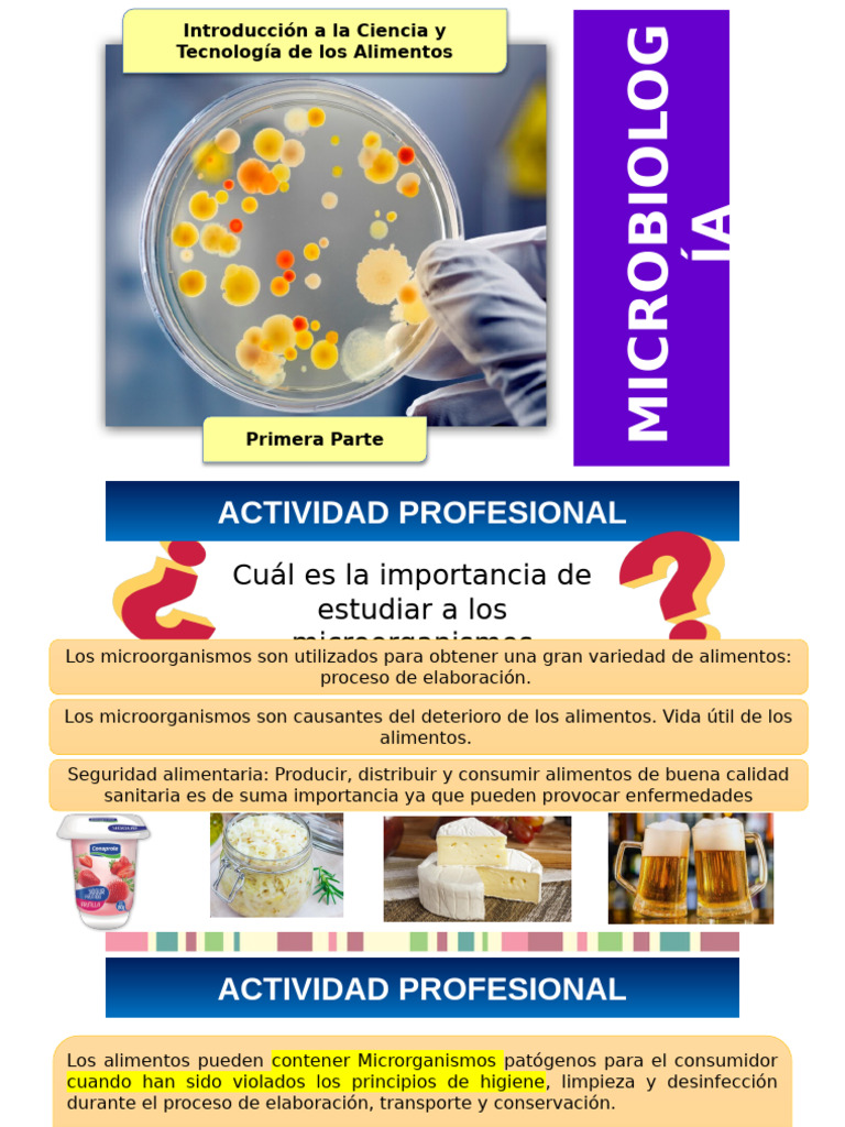 Clase Teórica 5 - Parte 1 - Microbiología de Los Alimentos - ICTA ...