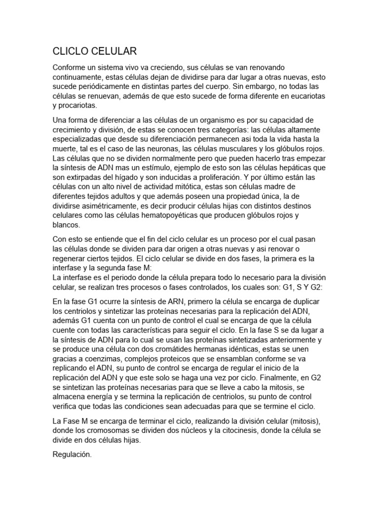 ciclo celular | PDF