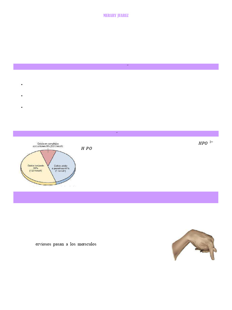 Cap 80 Fisio Resumen Merary Juarez | PDF | Diente humano | Calcio