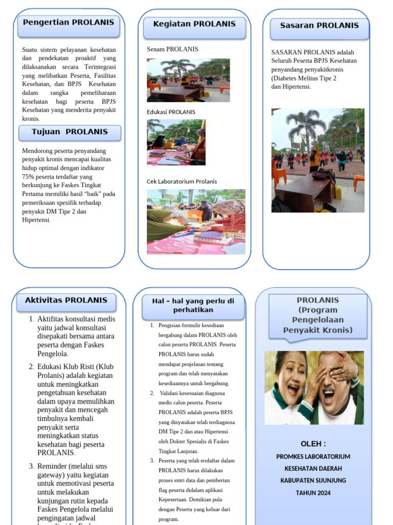 Leaflet Prolanis | PDF