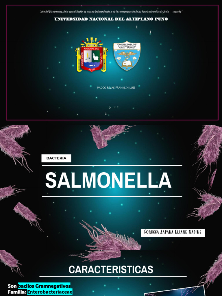 SALMONELLA | PDF
