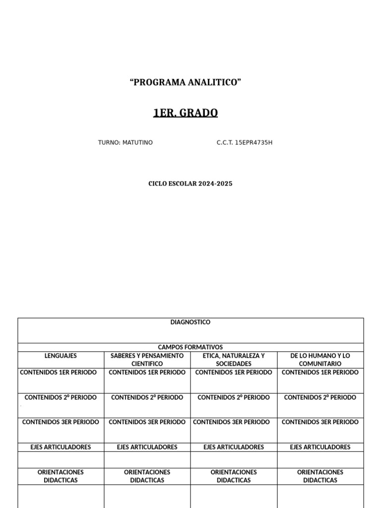 Formato Programa Analitico | PDF