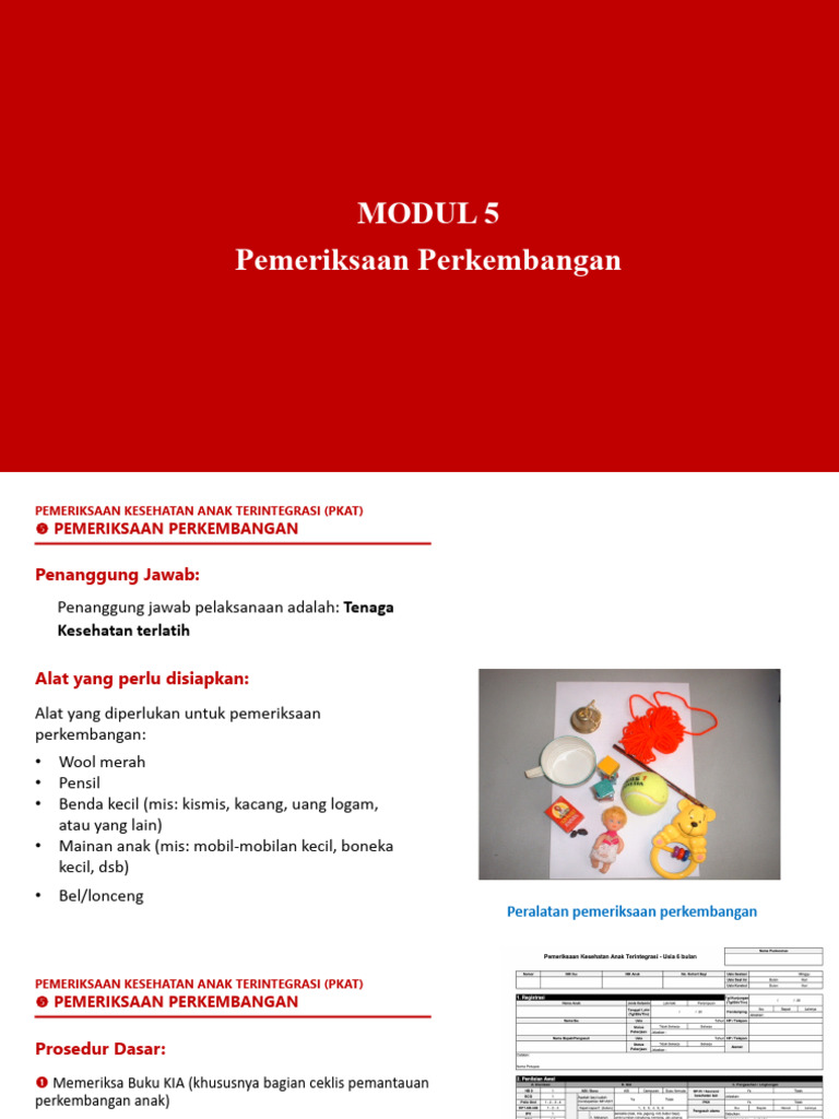 MODUL 5 Pemeriksaan Perkembangan PKAT | PDF