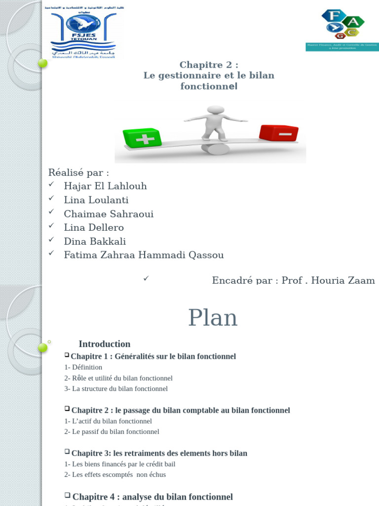 Chapitre 2 Le Gestionnaire Et Le Bilan Fonctionnel | PDF