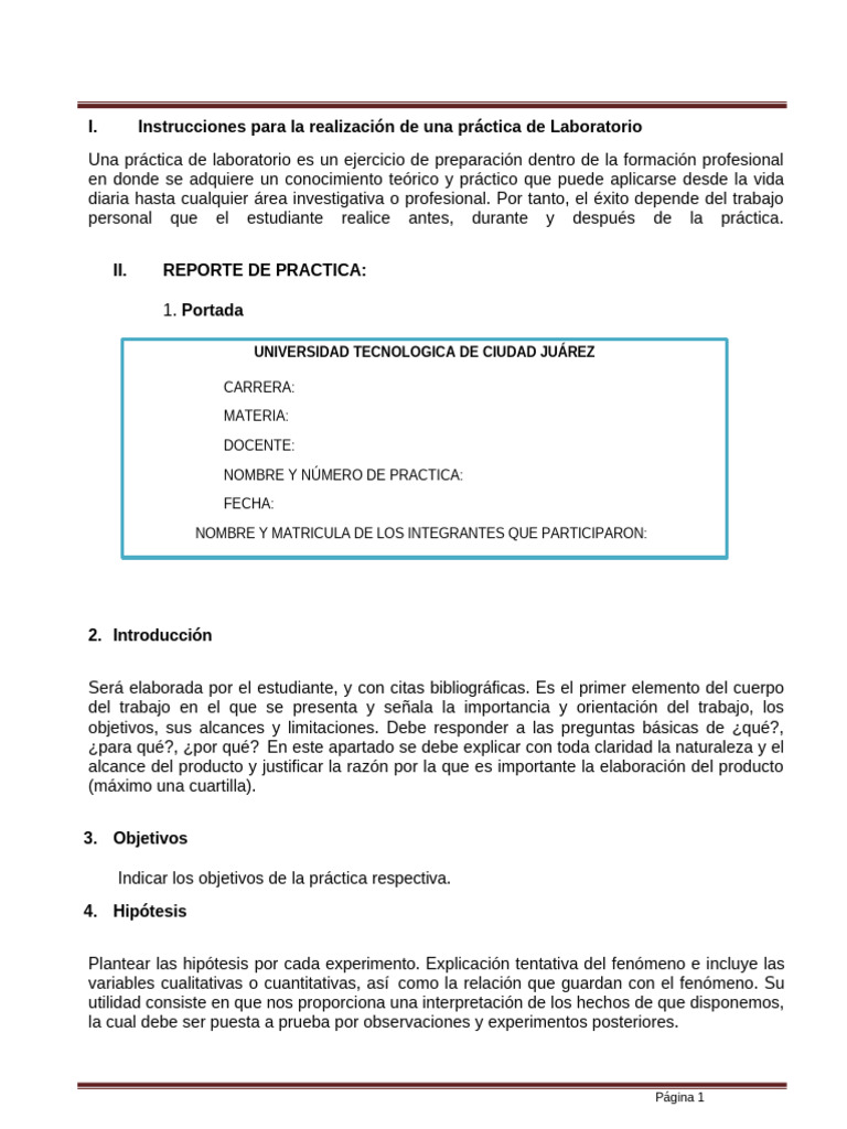 Instrucciones para Realizar Reporte de Practica | PDF