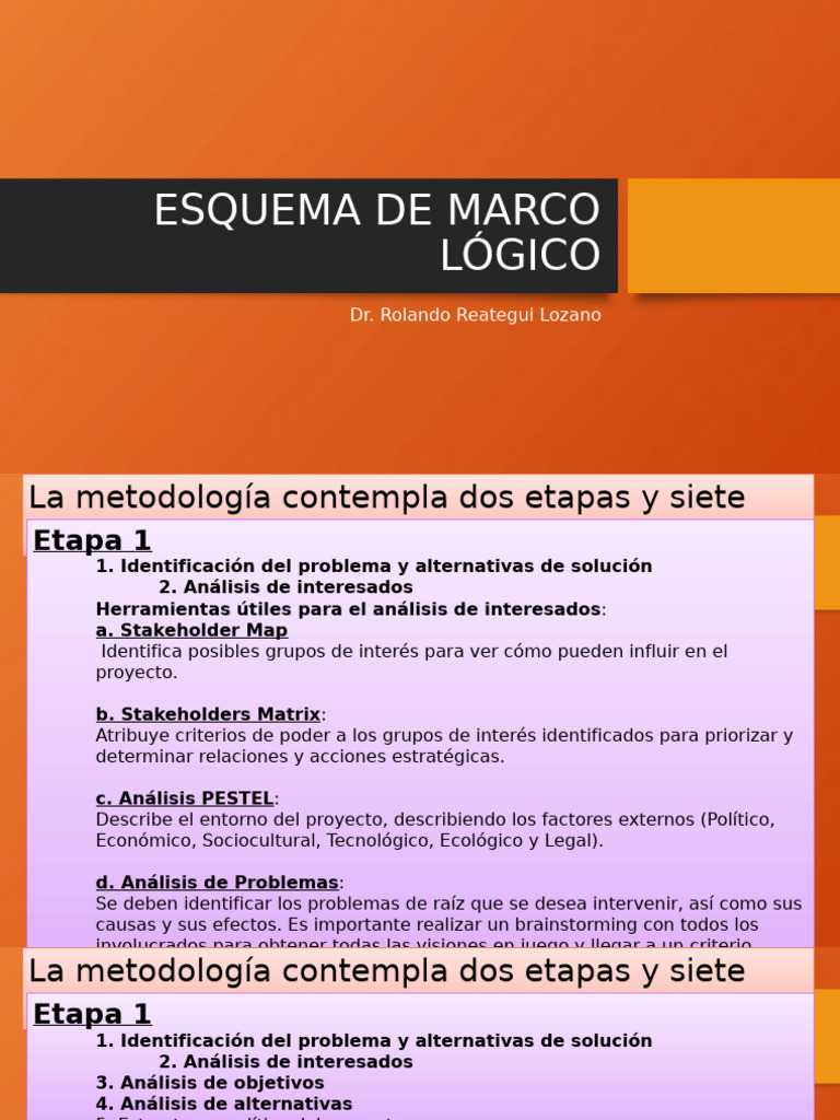 Esquema de Marco Lógico | PDF