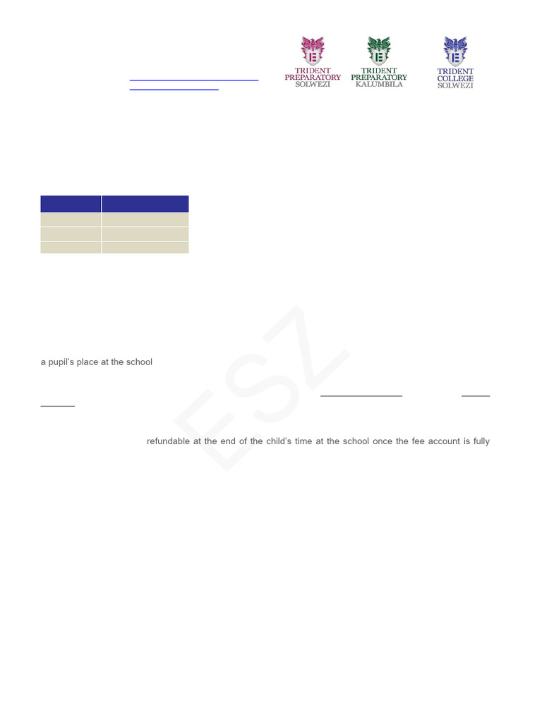Trident Schools Fee Structure 2024 | PDF | Cheque | Banks