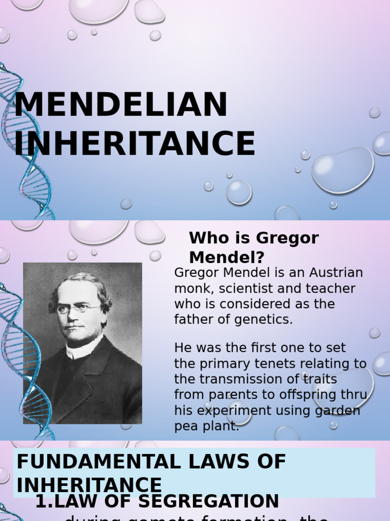 Mendelian Inheritance | PDF