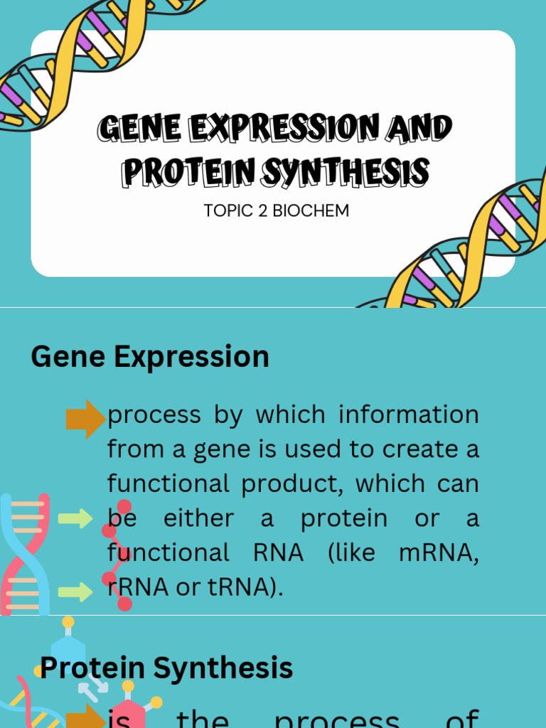 Gene Expression G2 | PDF