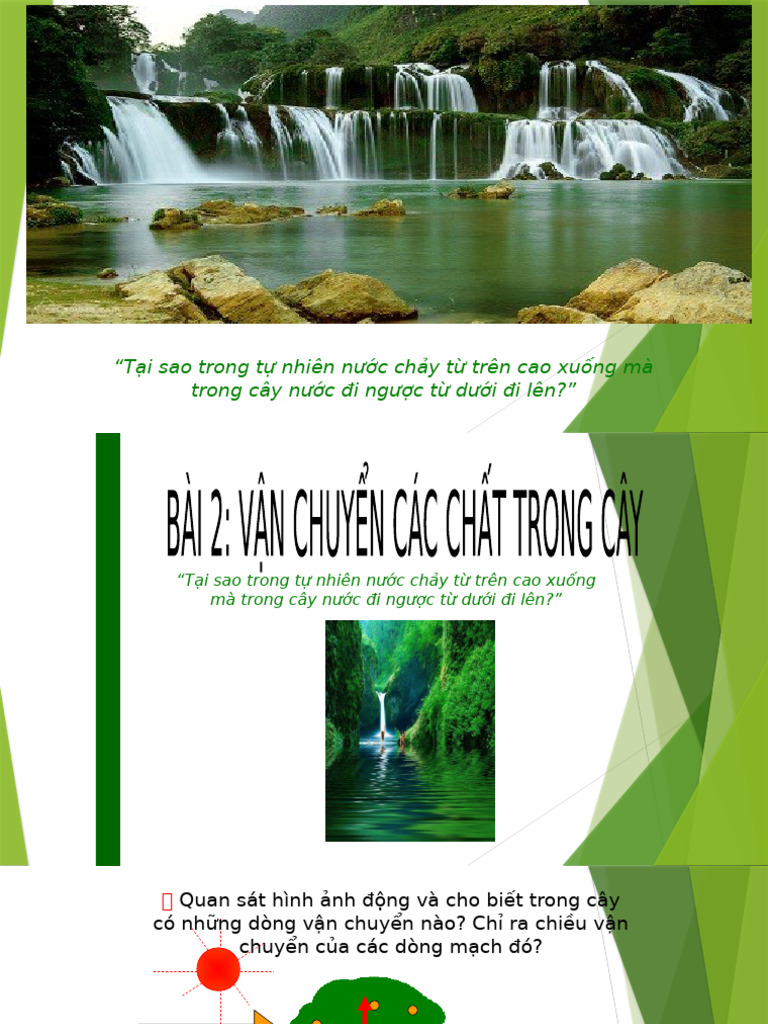 Bai 2 Van Chuyen Cac Chat Trong Cay | PDF