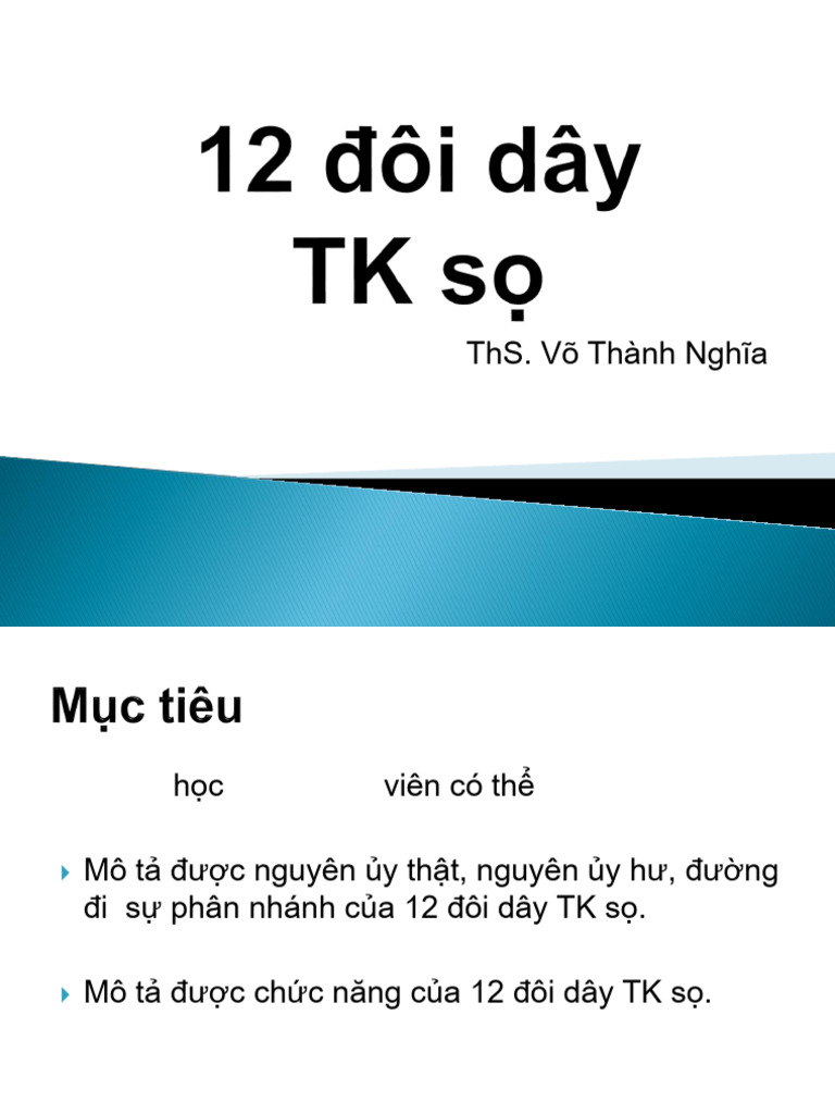 12 TK So - Gui SV | PDF