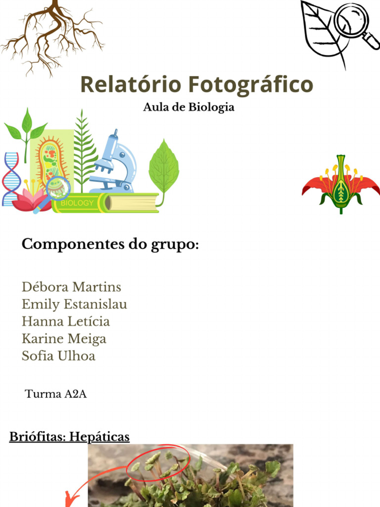Relatório Fotográfico Bio - Compressed | PDF