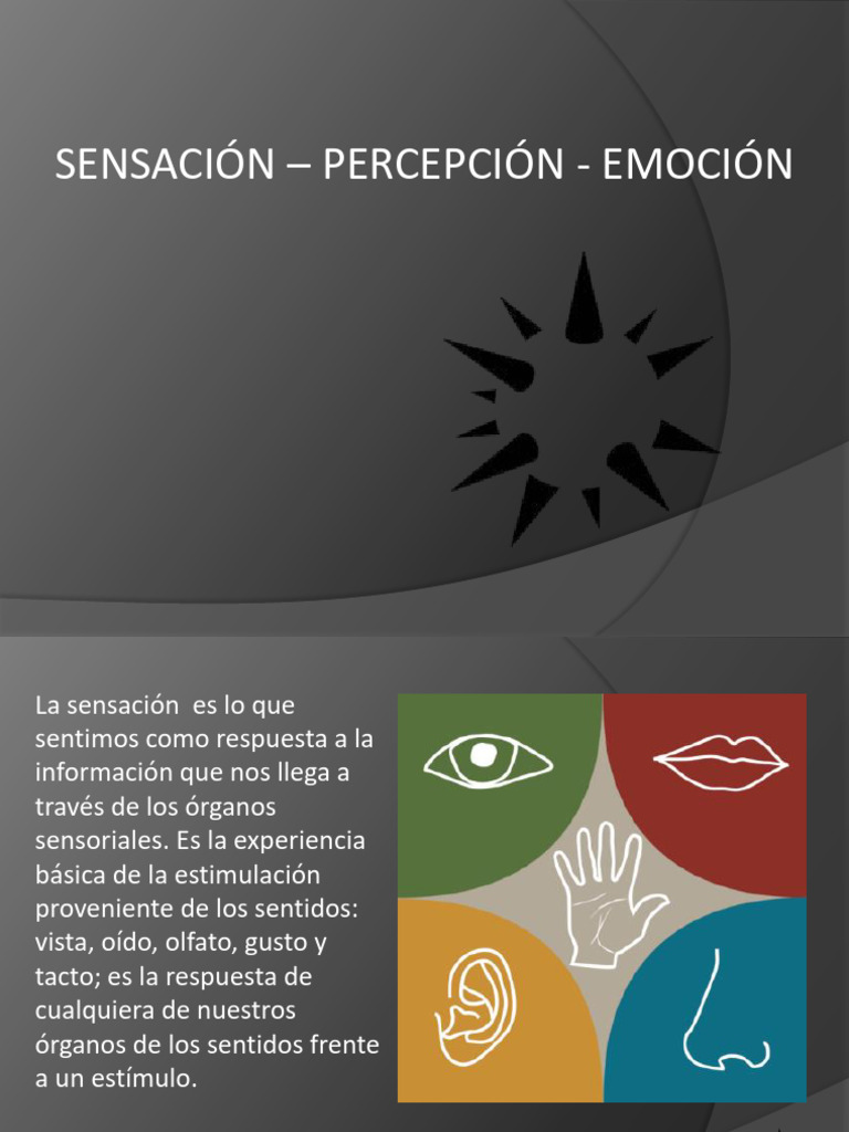 Sensación Percepción Emoción | PDF