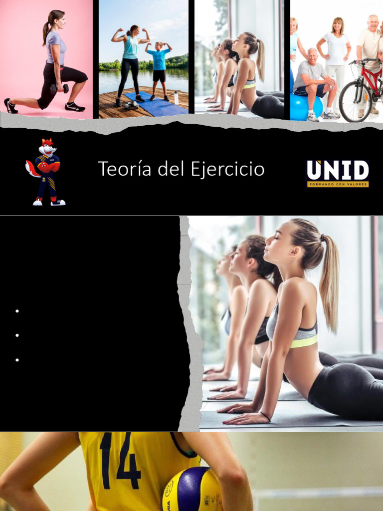 Clasificación de los ejercicios | PDF