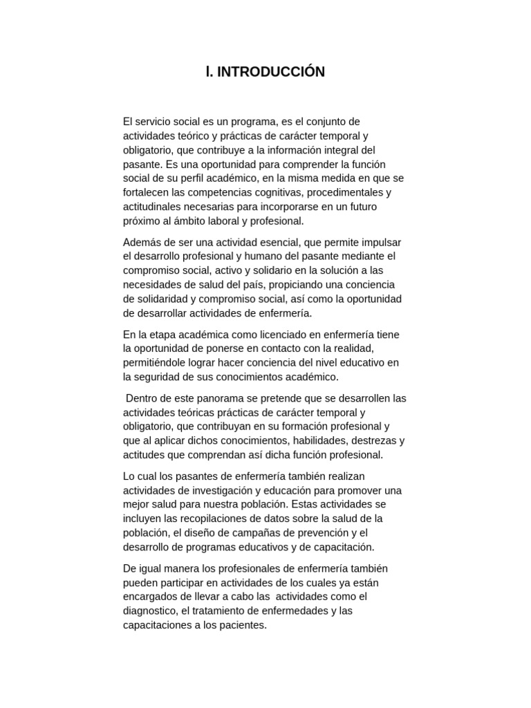 Informe Final Ss | PDF
