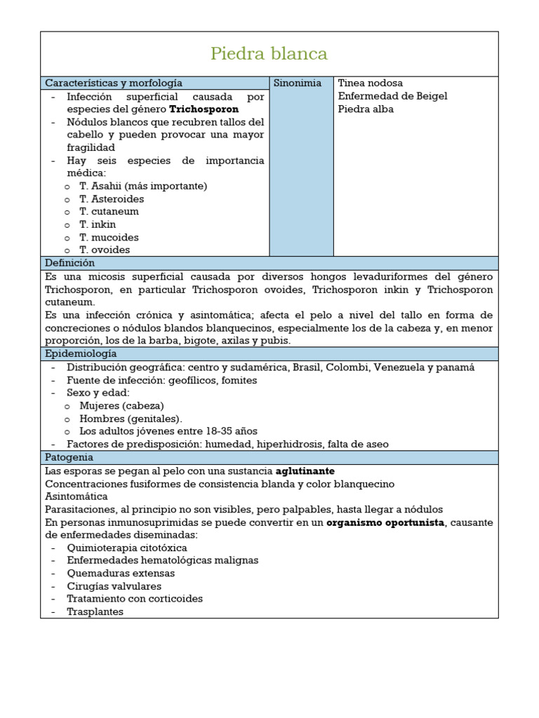 Piedra Blanca y Piedra Negra | PDF