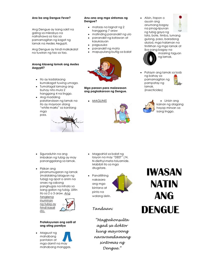 Pamphlet NG Dengue | PDF