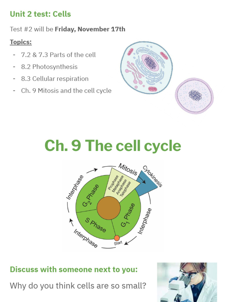 Bio CH 9 | PDF