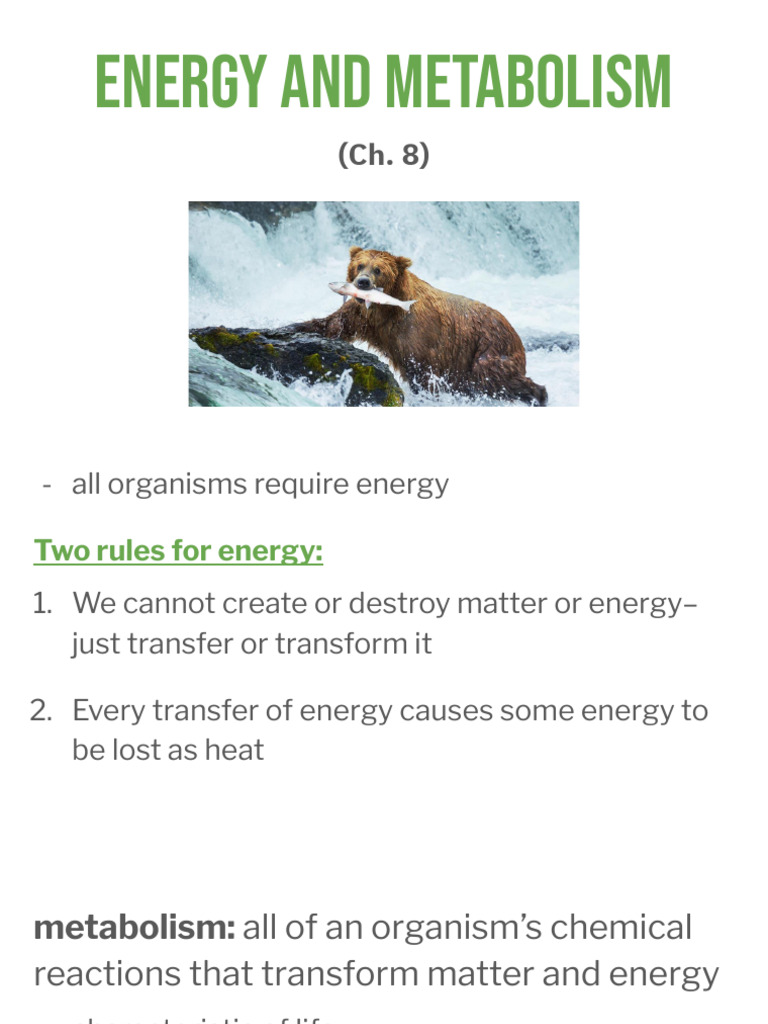 Bio CH 8 - Metabolism | PDF