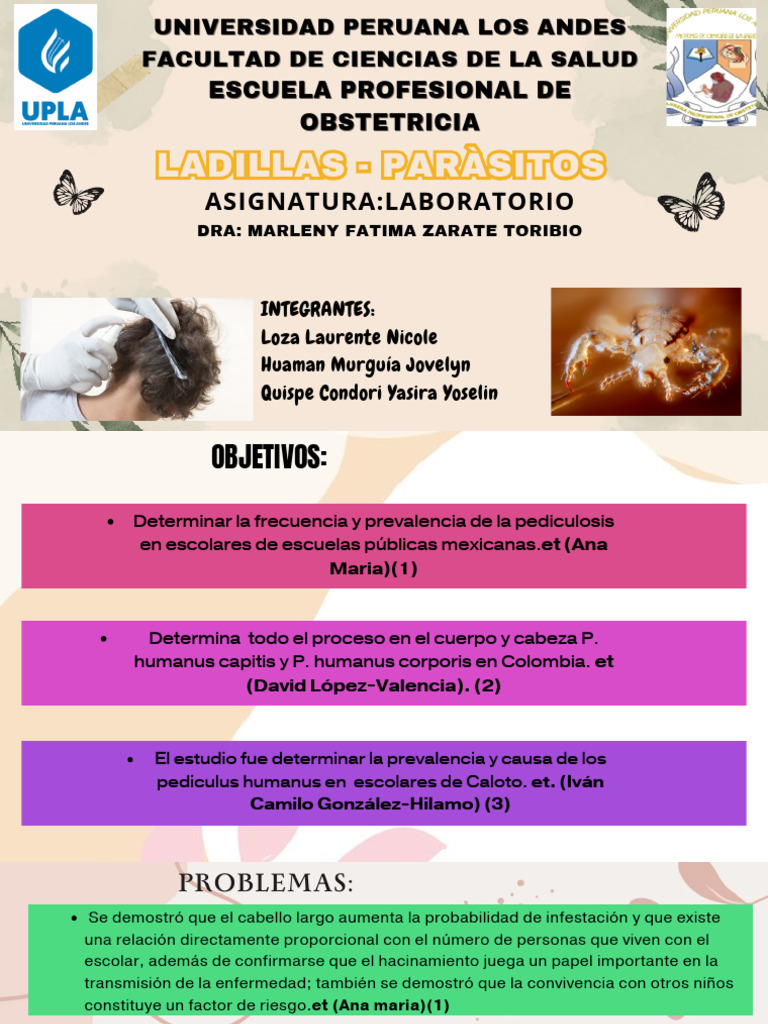 Ladillas Parasitos 3 | PDF