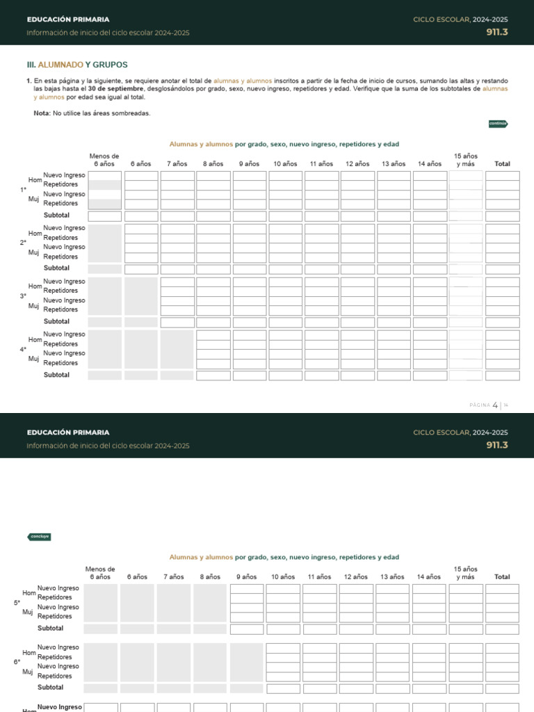 911 para Llenar | PDF