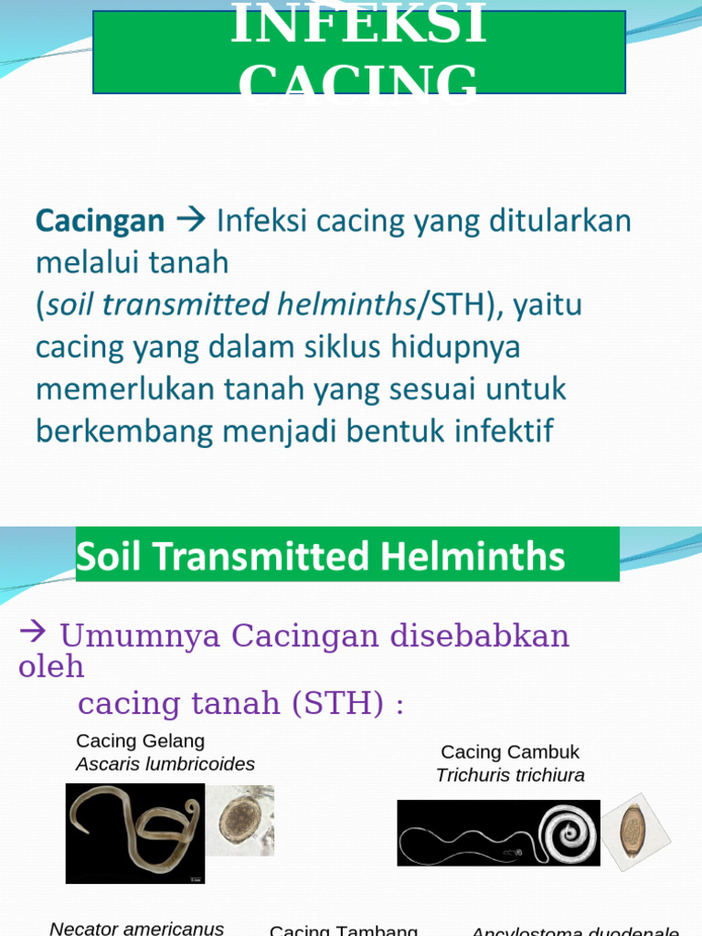 PPT Kecacingan | PDF