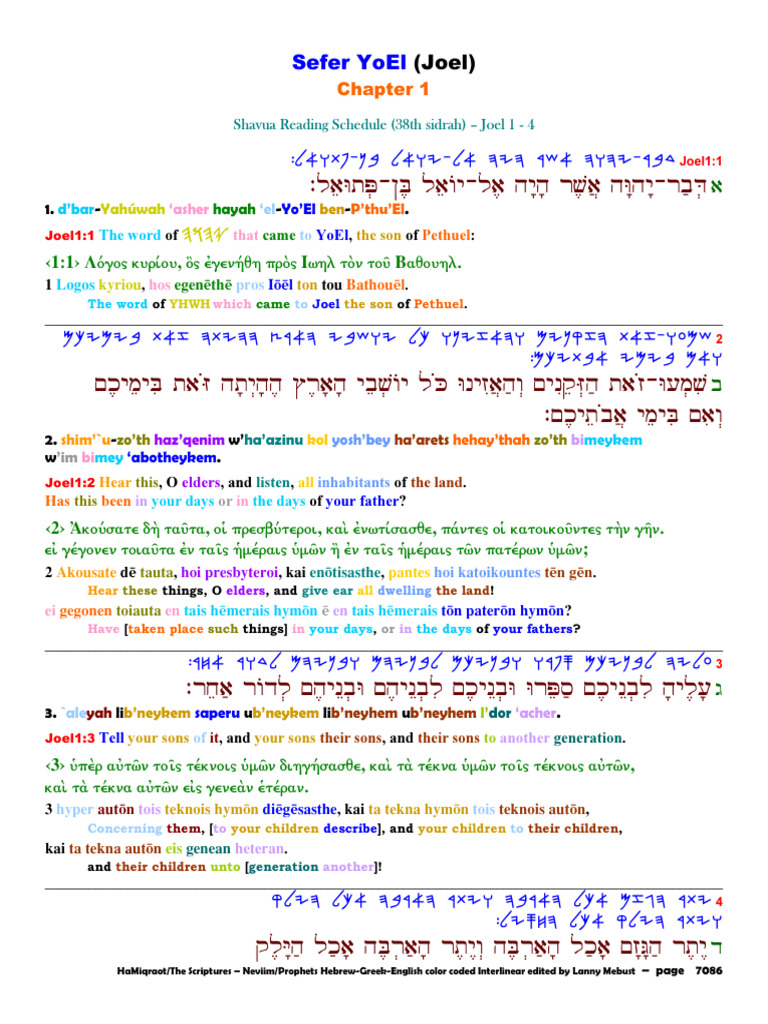 Interlinear Joel | PDF